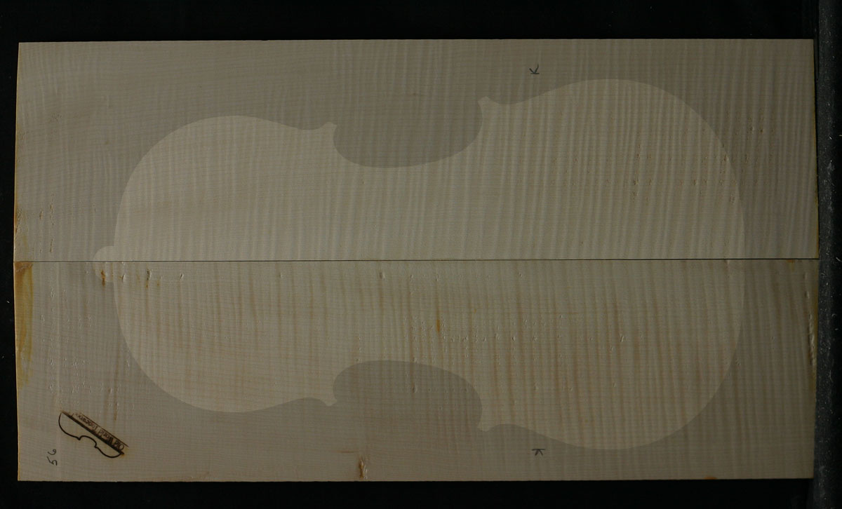 2-piece violin back Figured European Maple Item: V2P5619 - Old World ...