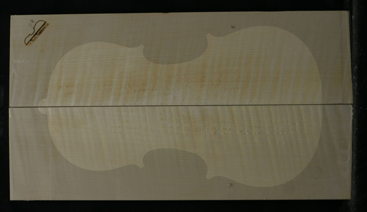 2-piece violin back Figured European Maple Item: V2P11819 - Old World ...