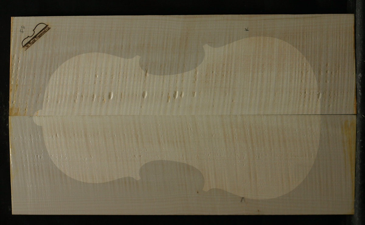 2-piece violin back Figured European Maple Item: V2P08819 - Old World ...
