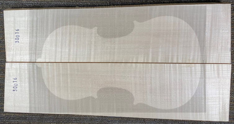 2-piece violin back Figured European Maple Item: V2P30016 - Old World ...