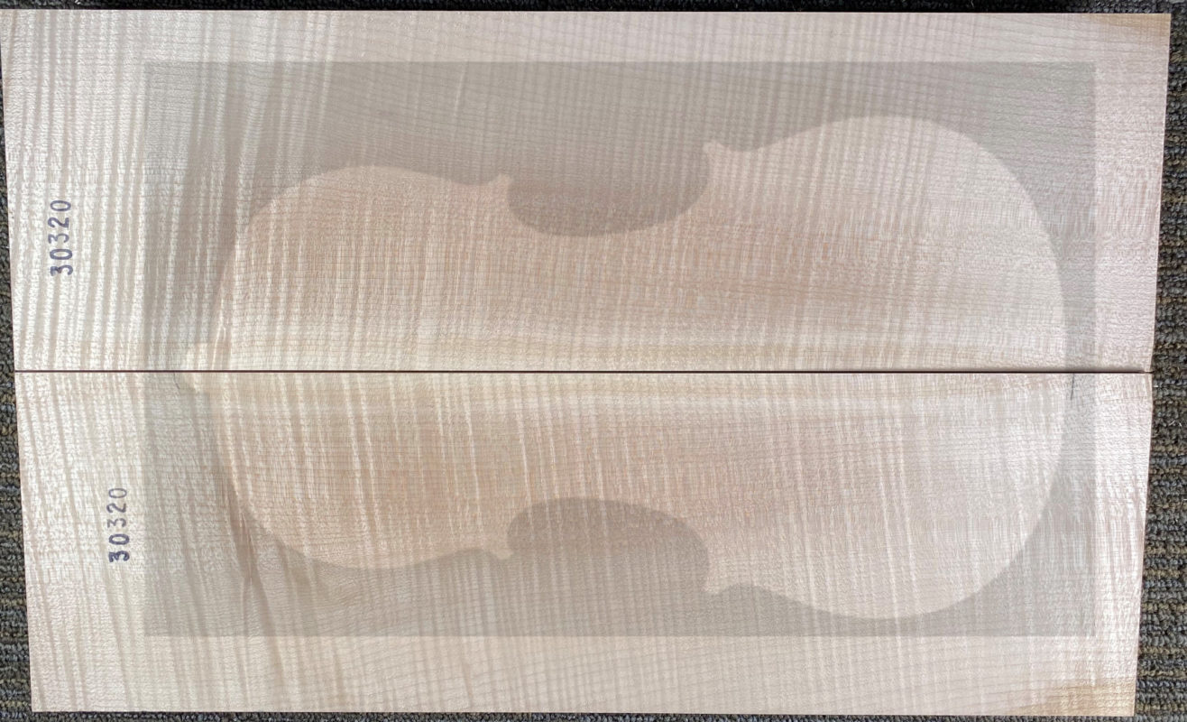 2-piece violin back Figured European Maple Item: V2P30320 - Old World ...